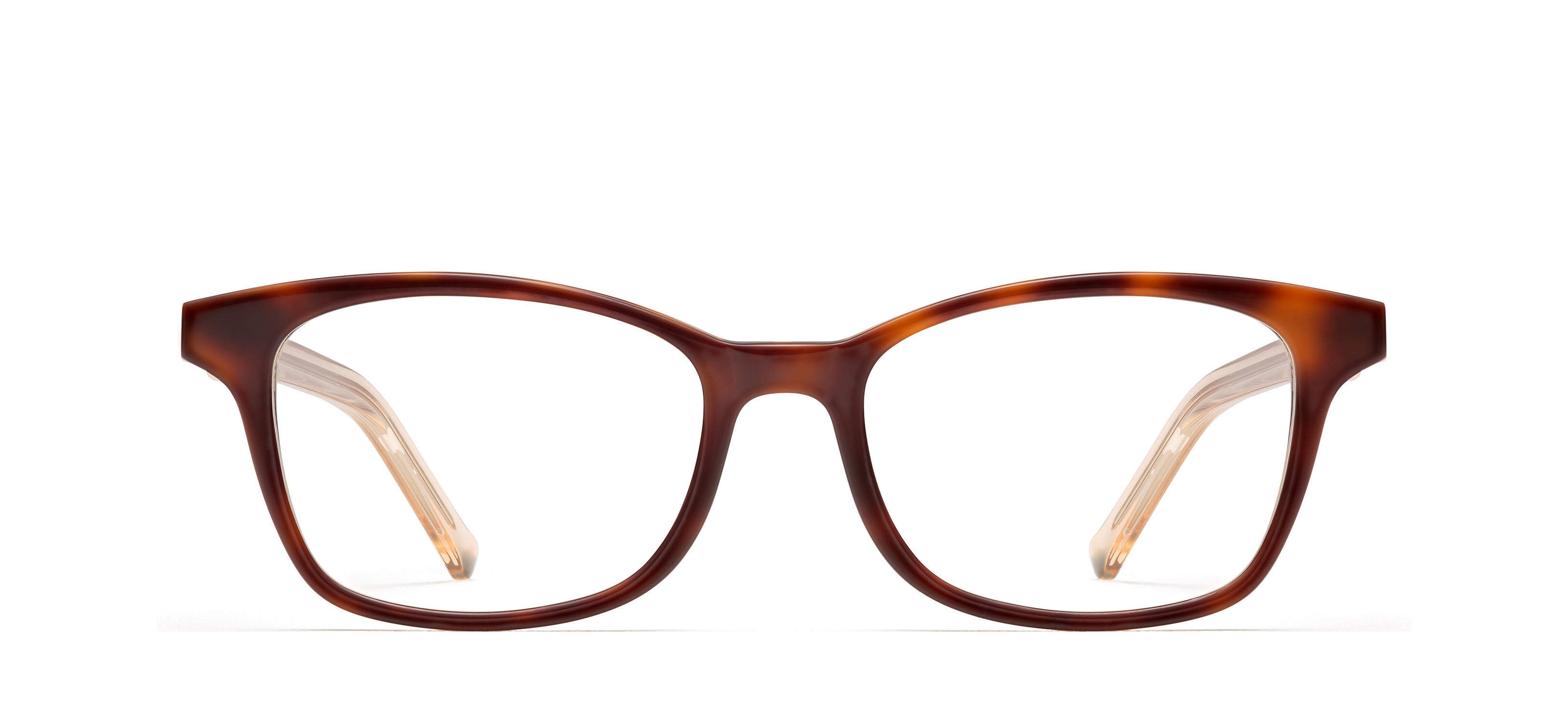 Morgenthal Frederics and Robert Marc NYC | RMNYC 1020 Acetate Cat-Eye ...