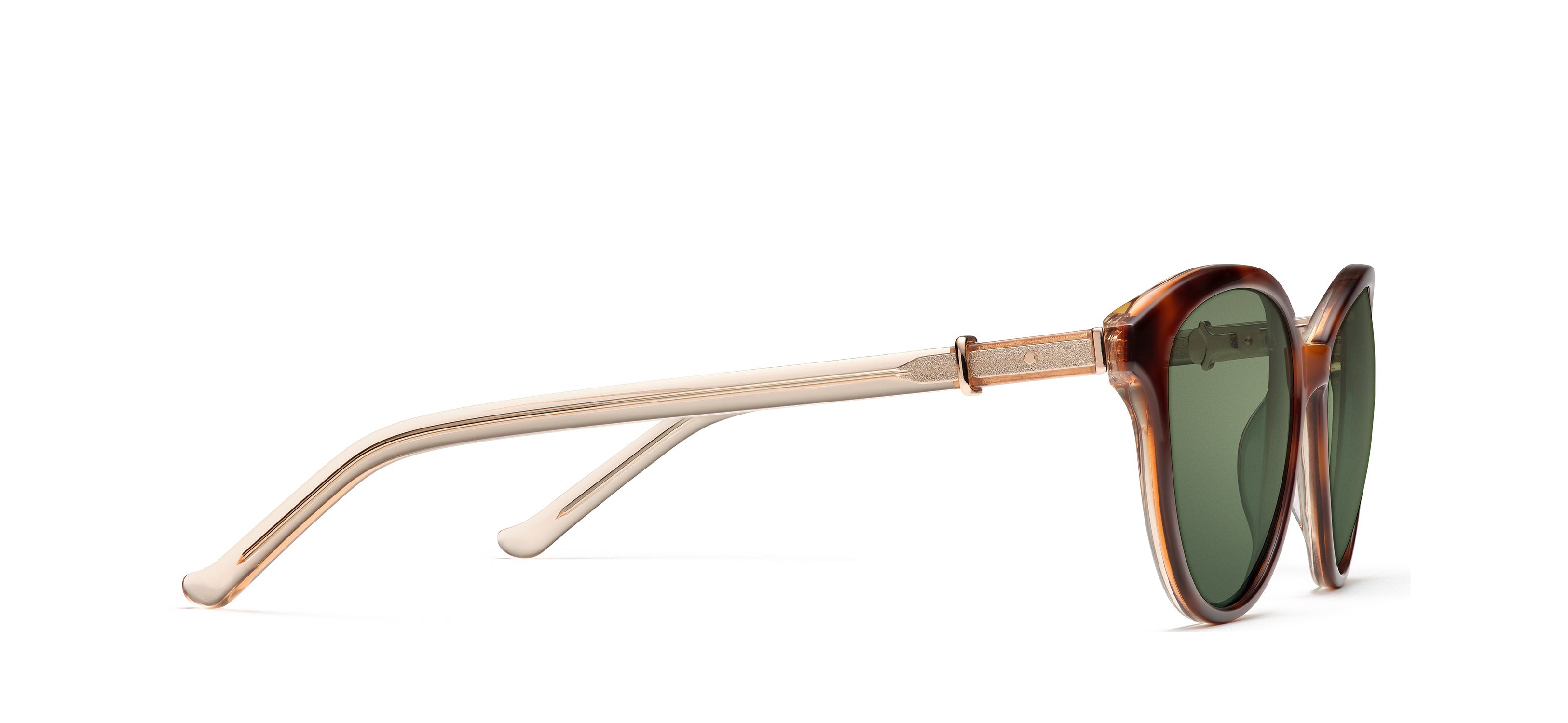 Morgenthal Frederics and Robert Marc NYC | RMNYC 5018 Acetate Cat-Eye ...
